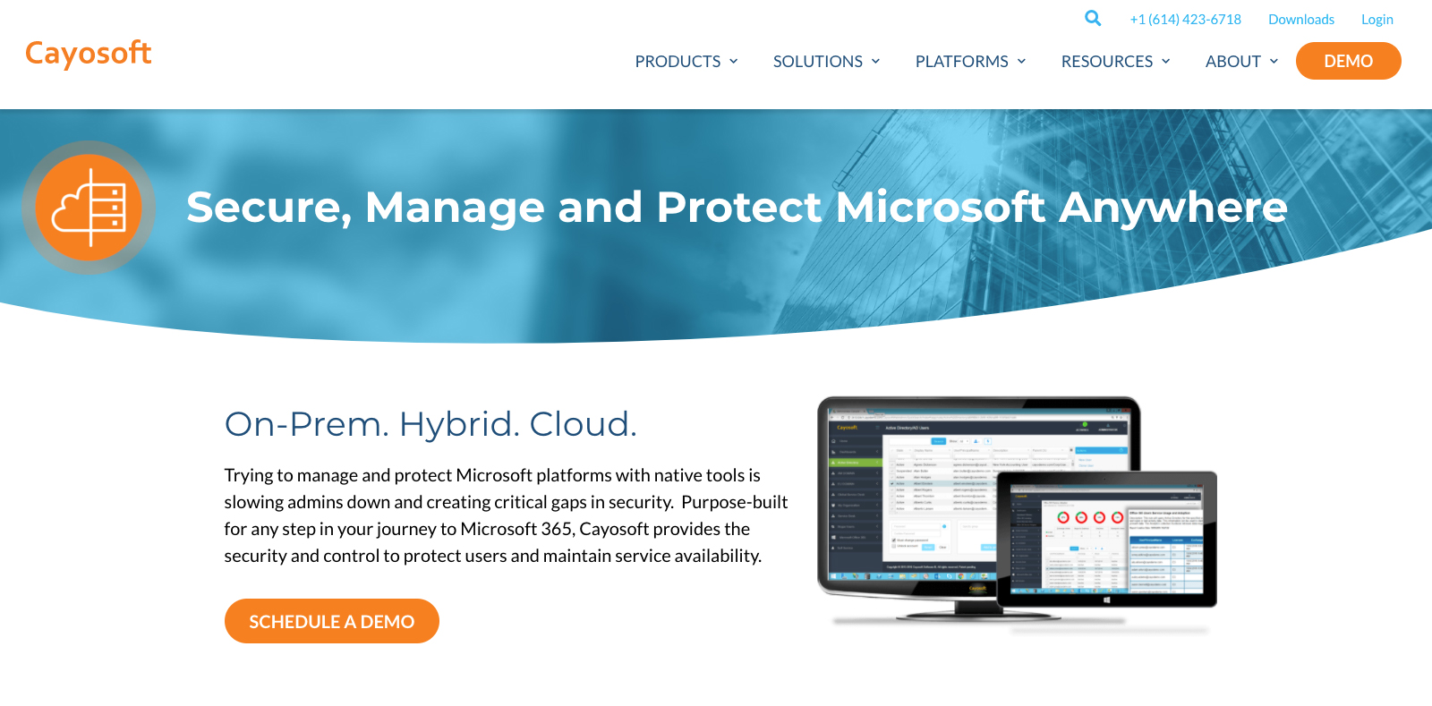 A New Cayosoft.com - Cayosoft
